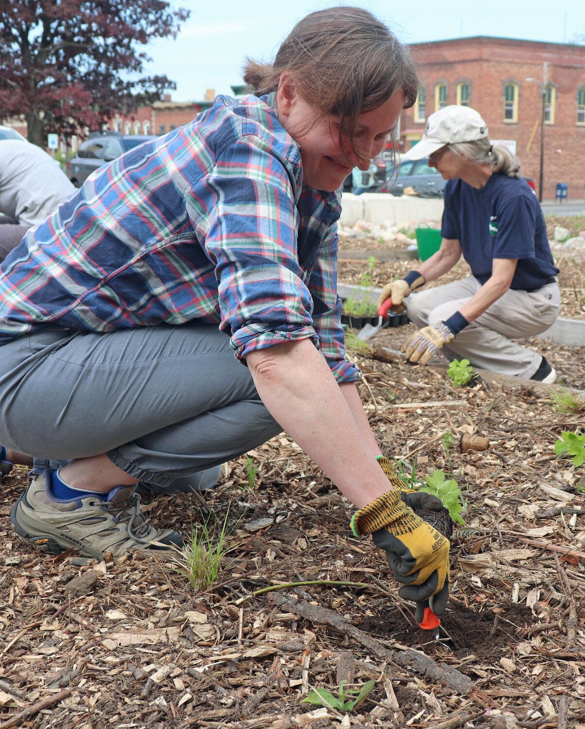 New native plant gardens in Canton, Potsdam and Ogdensburg - North ...