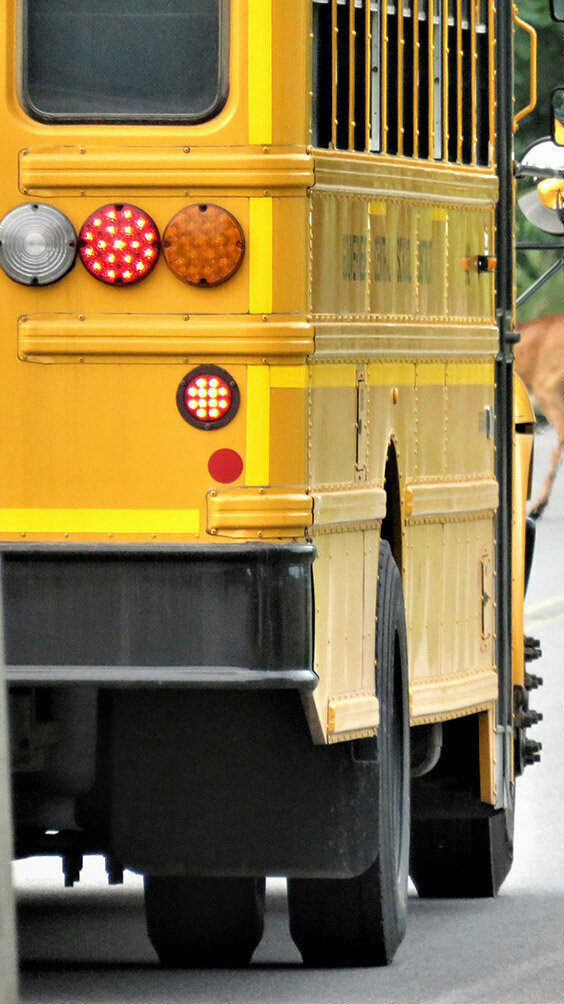 State lawmakers agree to delay electric bus mandate but legislation not ...
