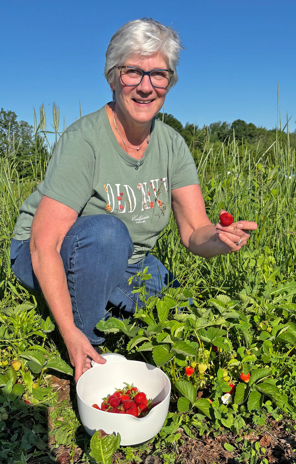 Martin's strawberry patch open - North Country Now