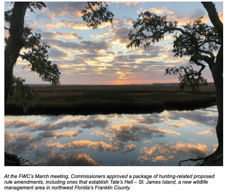 Expanded WMA system providing more hunting opportunity - Fernandina ...