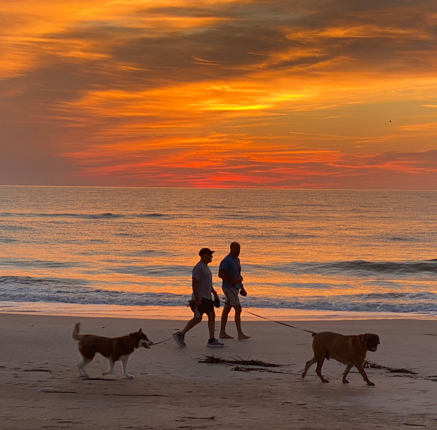 Pat’s Wildways: Equinox Dawns - Fernandina Observer