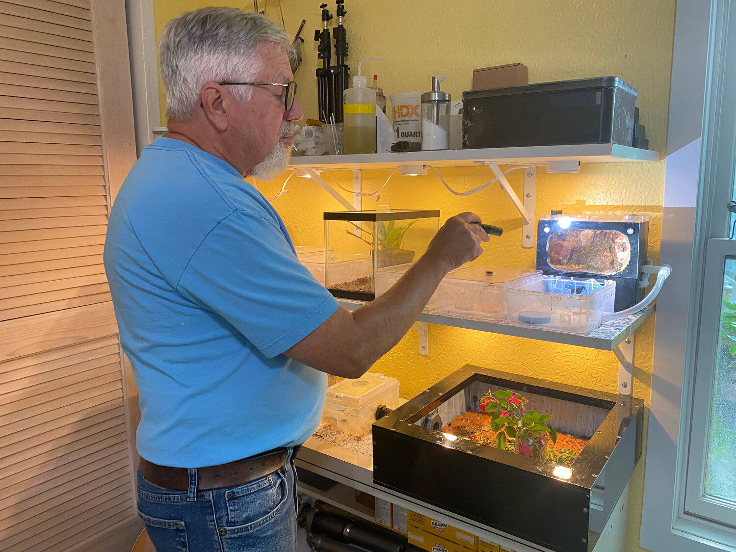 Pat’s Wildways: Ants and Naked Mole Rats - Fernandina Observer