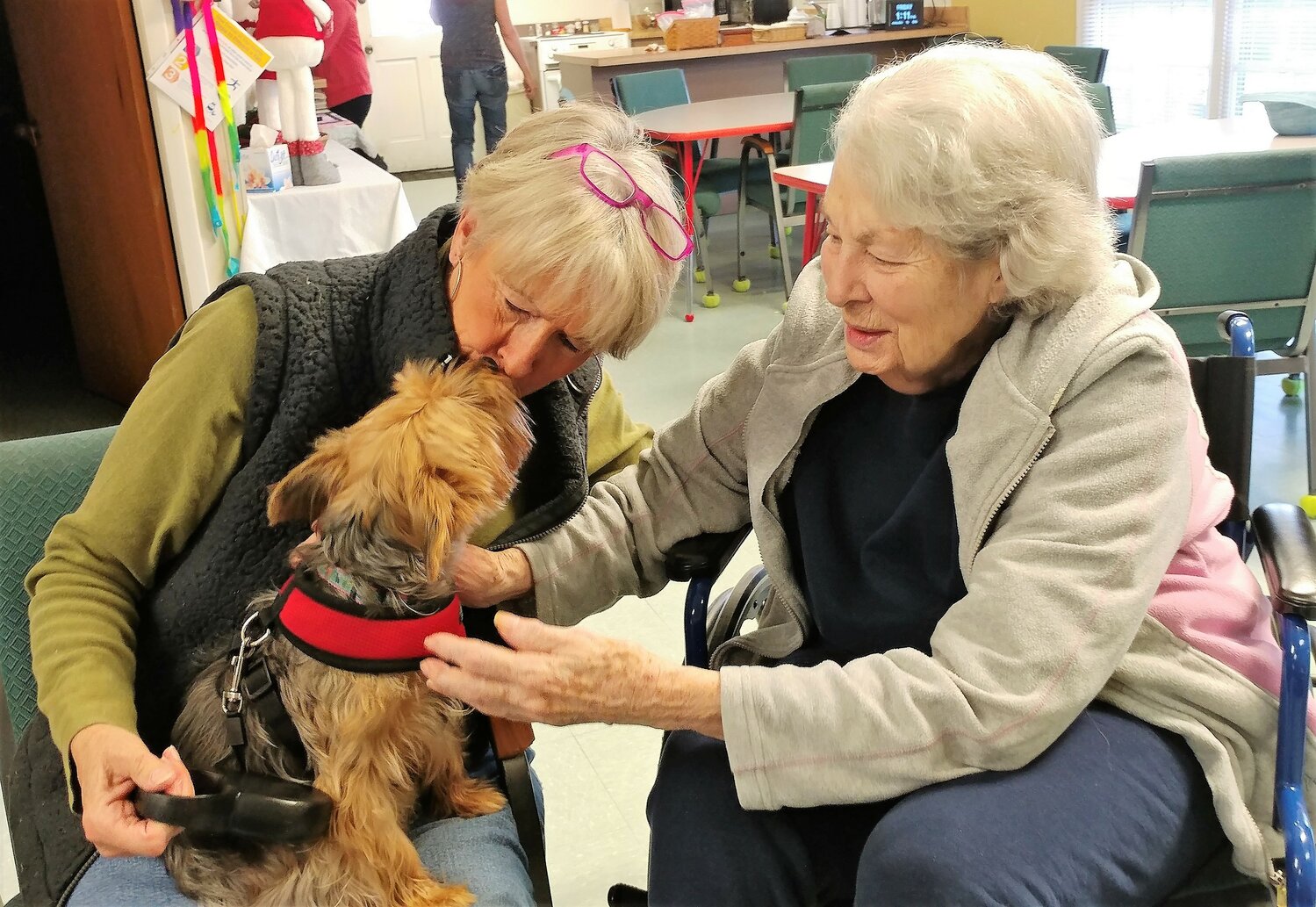 Soft Touch – animals bring comfort - Fernandina Observer