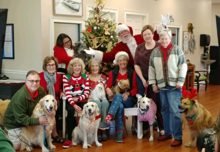Soft Touch – animals bring comfort - Fernandina Observer