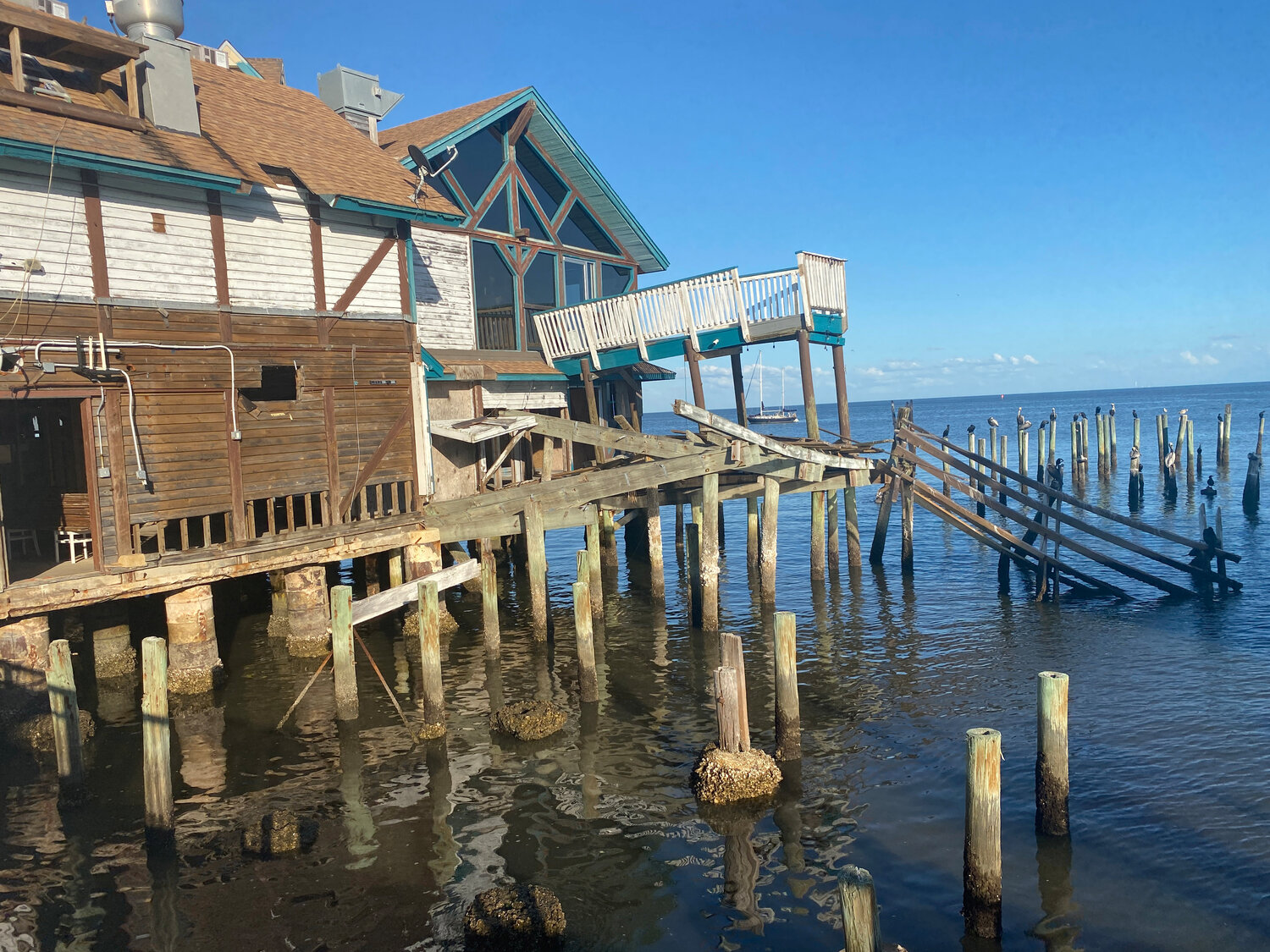 Pat’s Wildways: Cedar Key is recovering! - Fernandina Observer