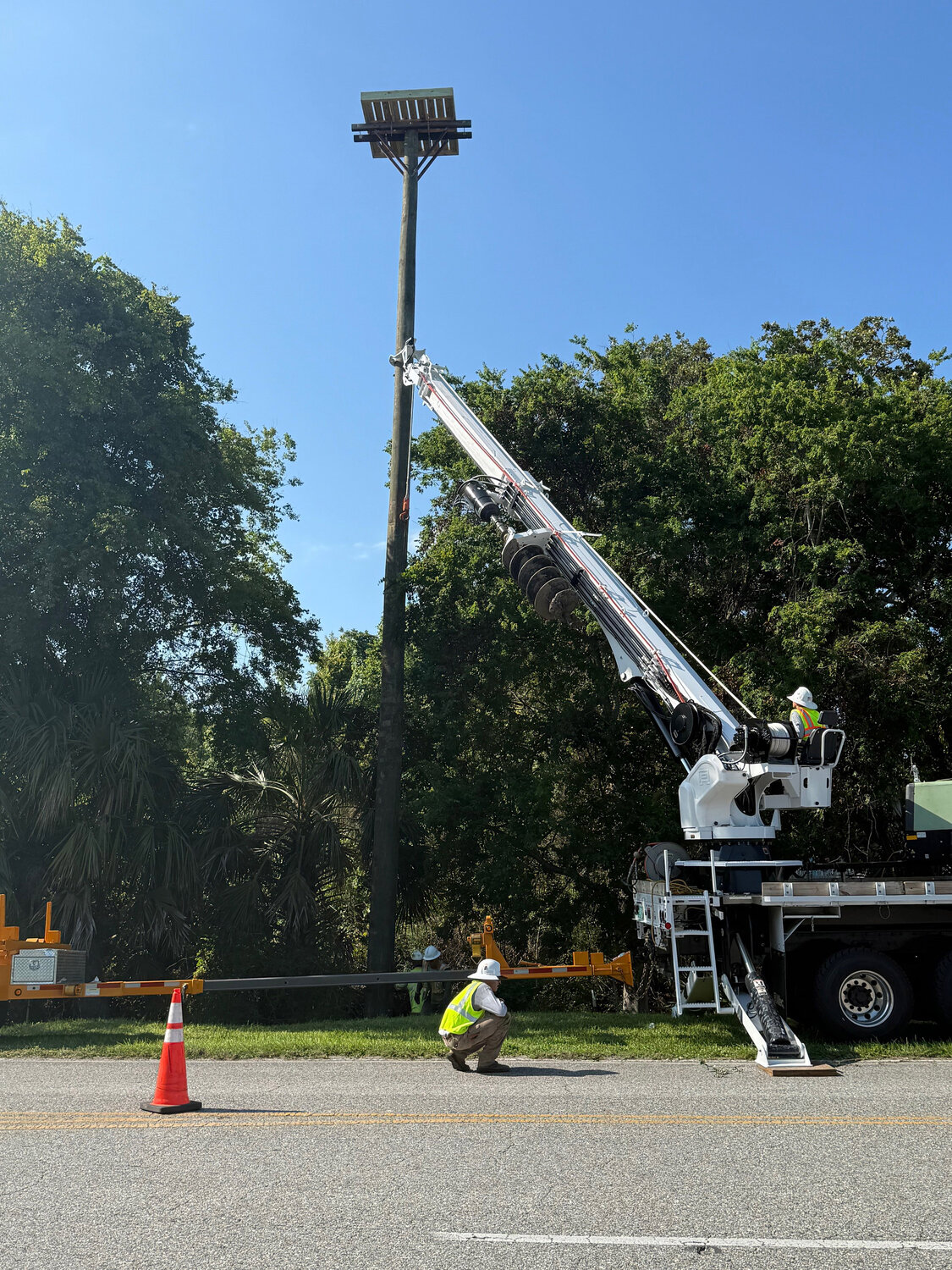 Pat’s Wildways: Osprey happenings - Fernandina Observer