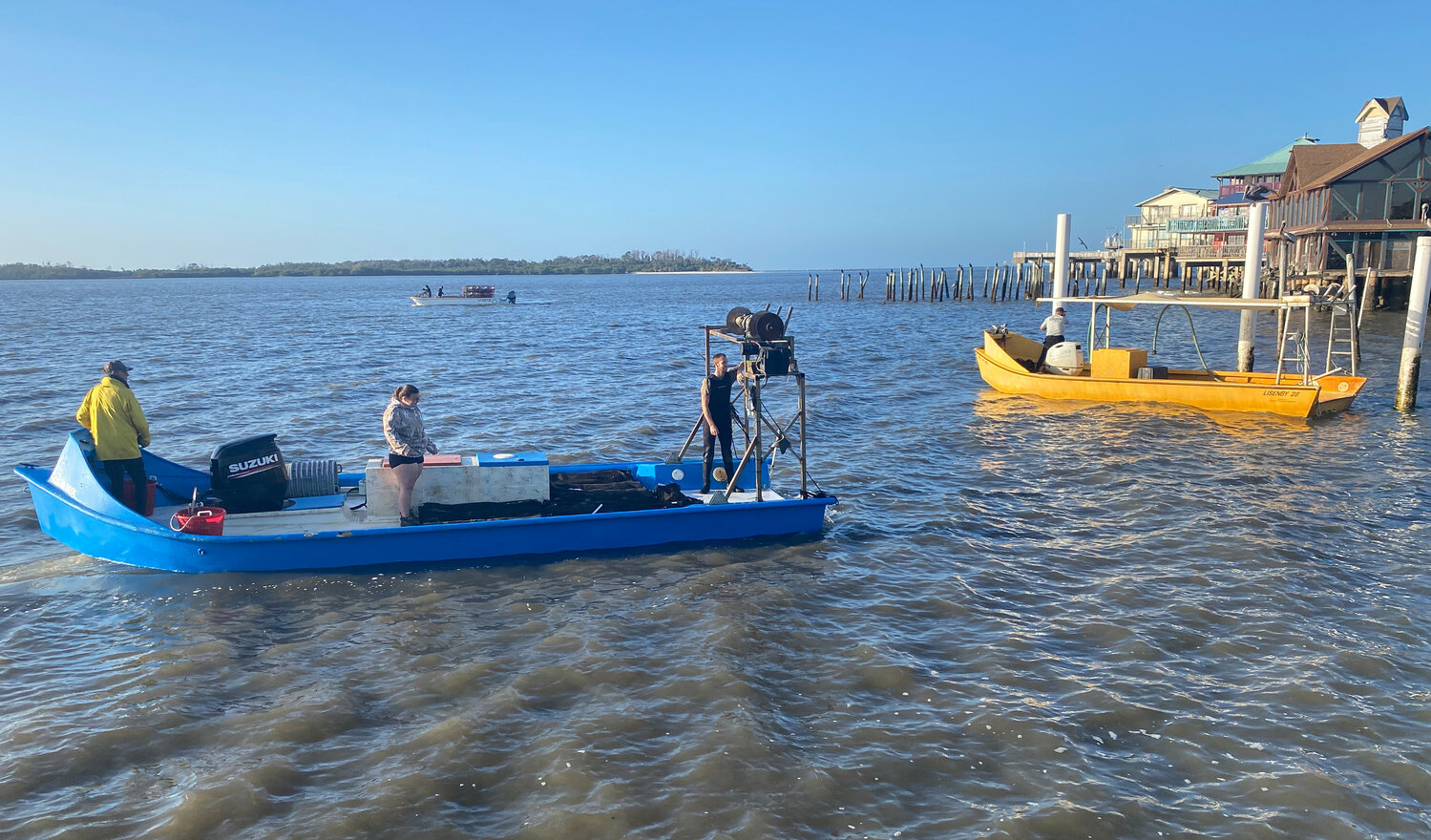 Pat’s Wildways: Raising clams in Cedar Key - Fernandina Observer