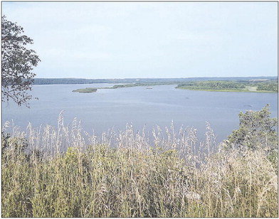 Glaciers, geology, and Schaar’s Bluff County Park - Cottage Grove Journal