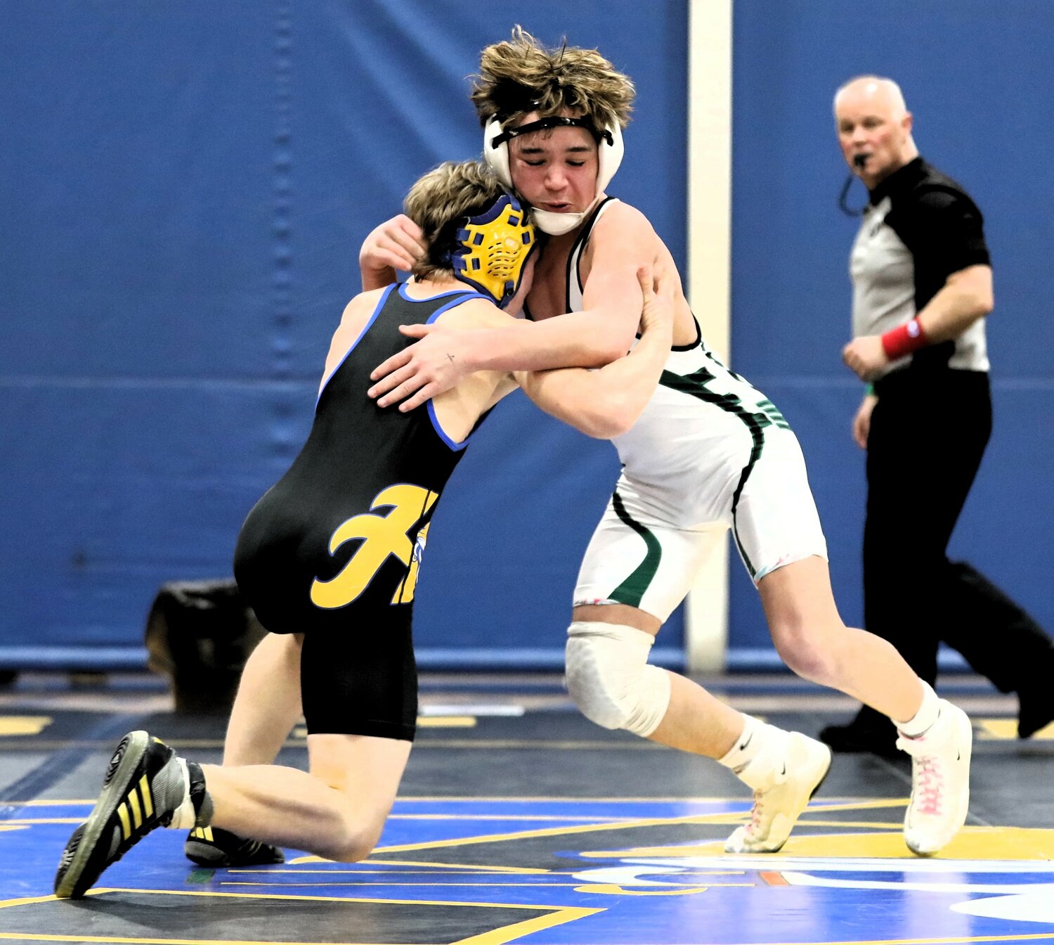 Hastings defeats Park in section wrestling - Cottage Grove Journal