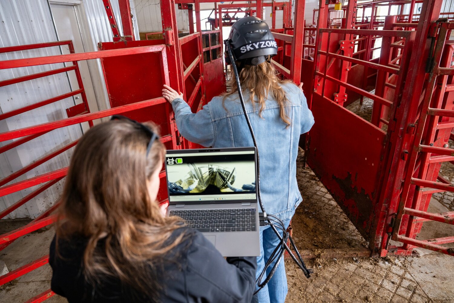 Through a cow’s eyes: UWRF Humane Handling Institute first in U.S. to ...