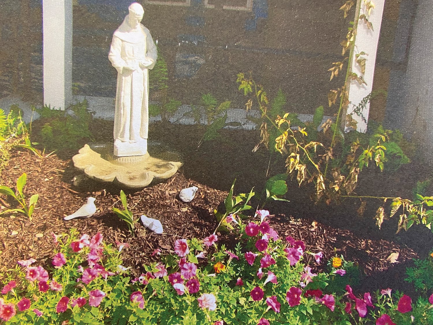 Franciscan Missionaries of Mary find joy in garden inspired by Laudato ...