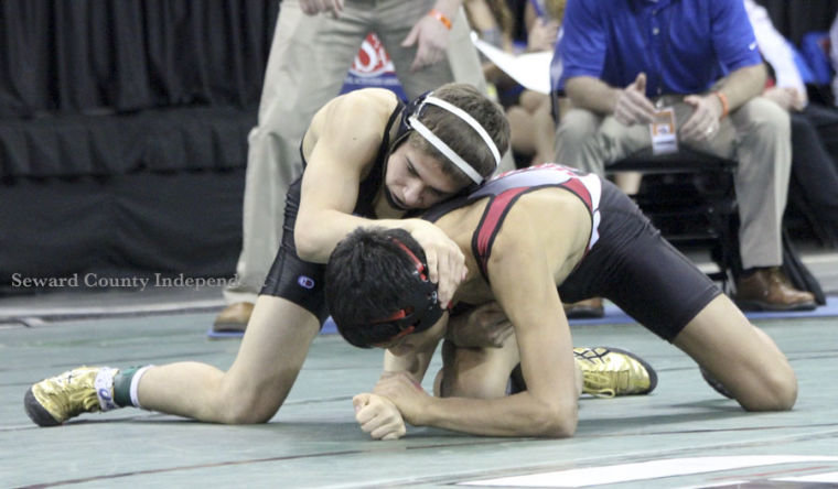 Trout wins third title, leads Broncos at state wrestling | Seward ...