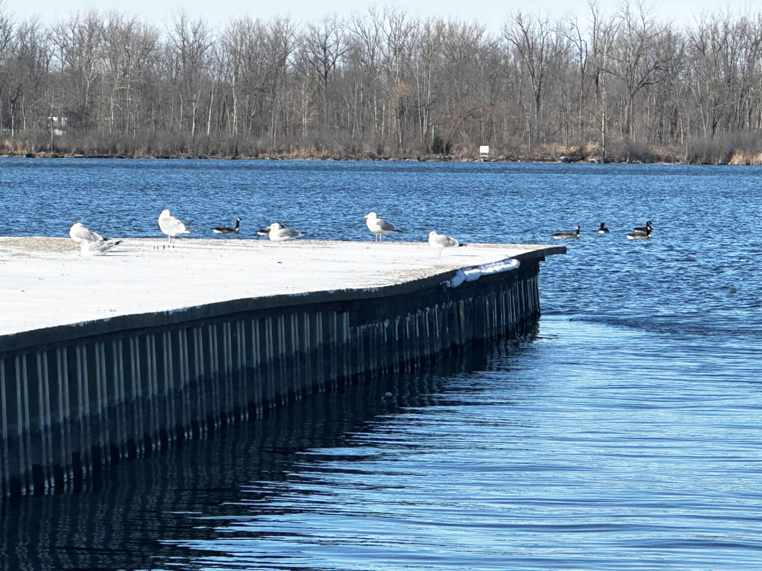 Board Of Works Approves Bid, Contract For Center Lake Pier Demolition ...