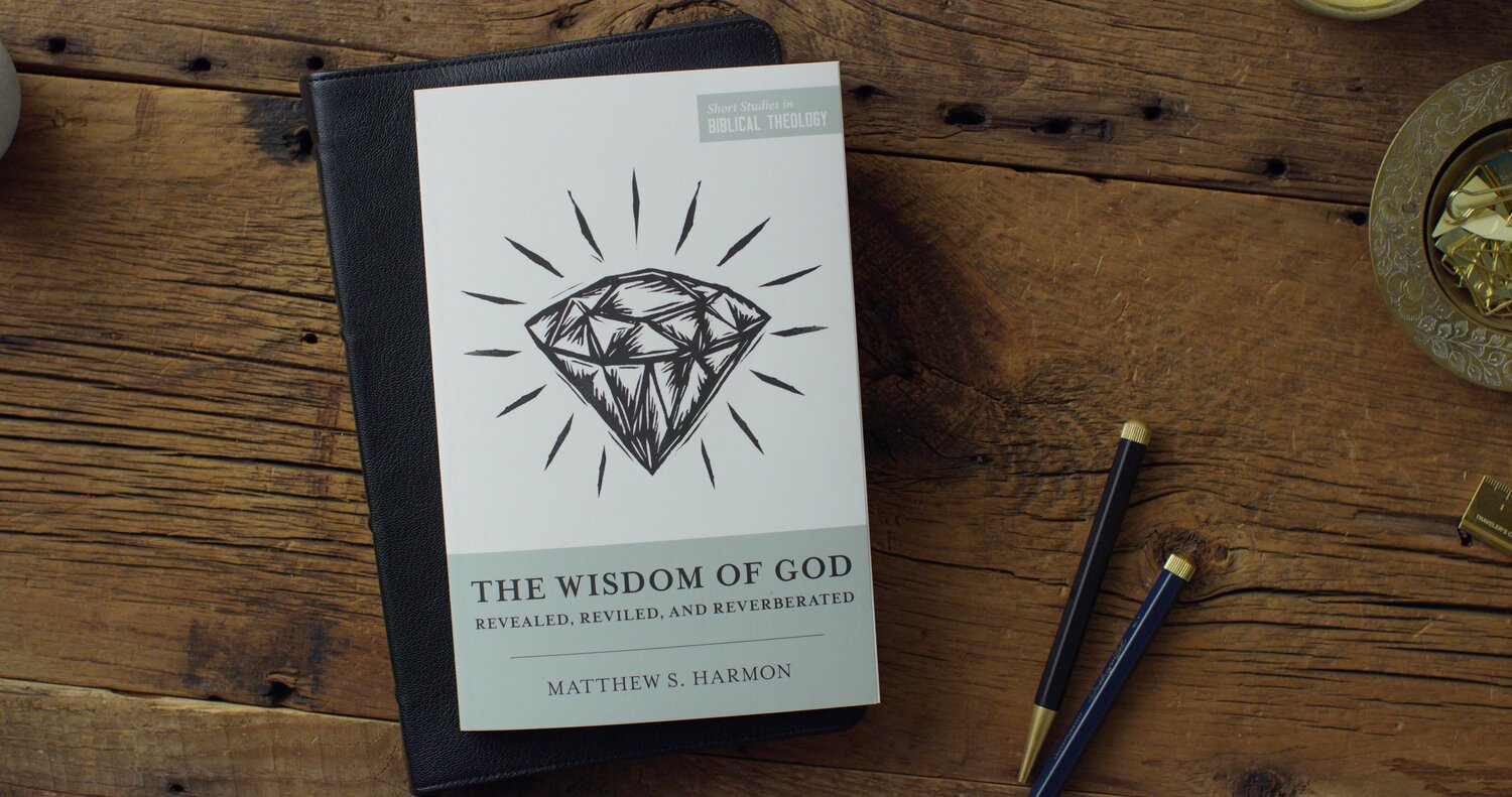 Grace Professor of New Testament Studies Publishes 13th Book - Times-Union