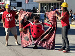 Cutie Parade - Times-Union